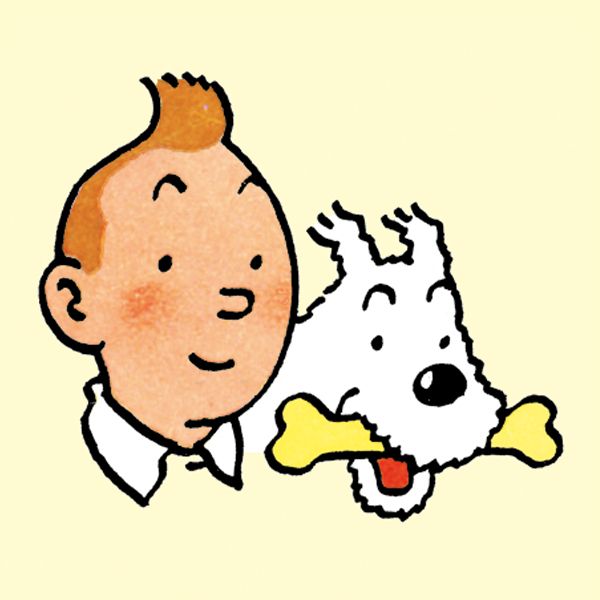 Tim und Struppi 01. Tim im Kongo von Herge (1997, Taschenbuch) online ...