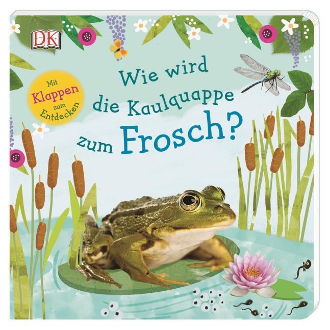WIE WIRD DIE Kaulquappe zum Frosch? Wiebke Krabbe EUR 9,95 - PicClick DE